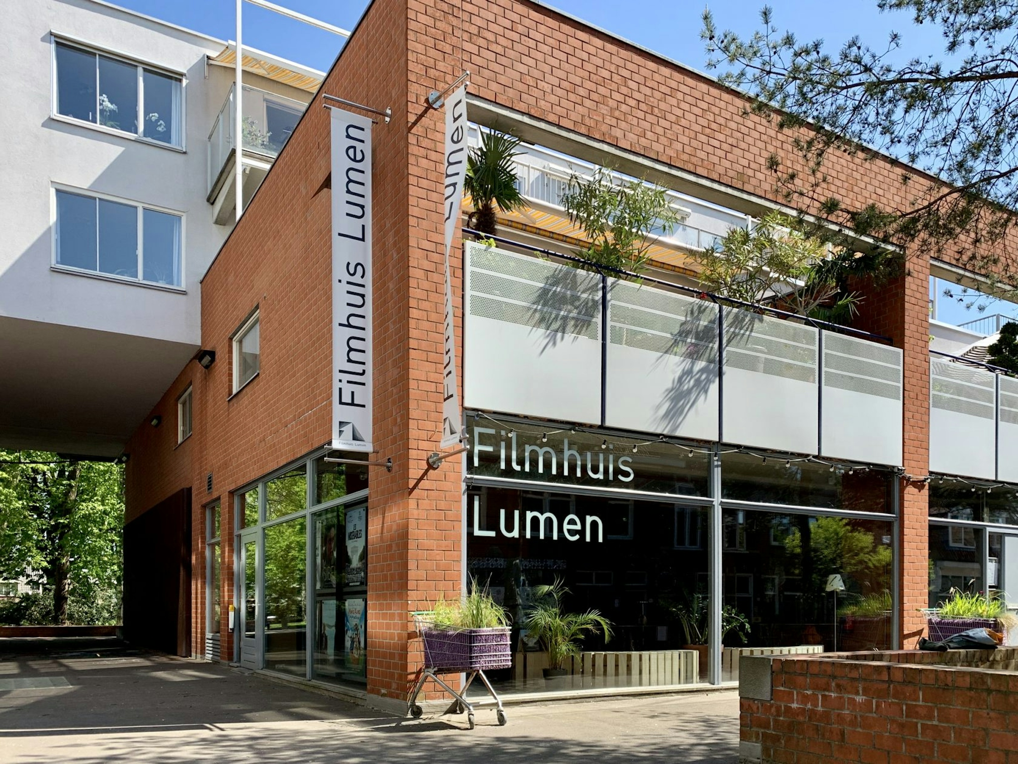 FC Hyena - Cineville