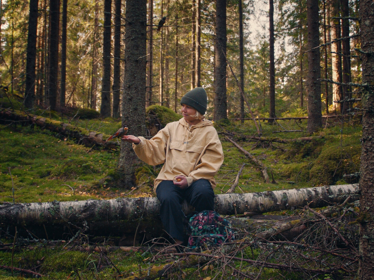 Festival Alimenterre