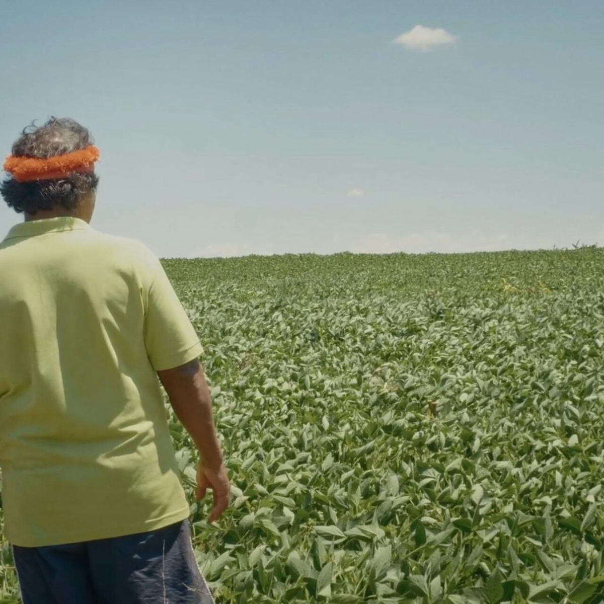 Festival Alimenterre